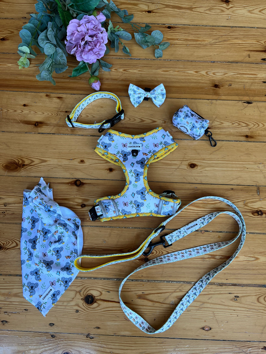 Packs para perros exclusivos COCOLOCO